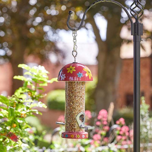 Flowers Flamboya Feeder Seed Bird Feeder – Southwood Garden Centre