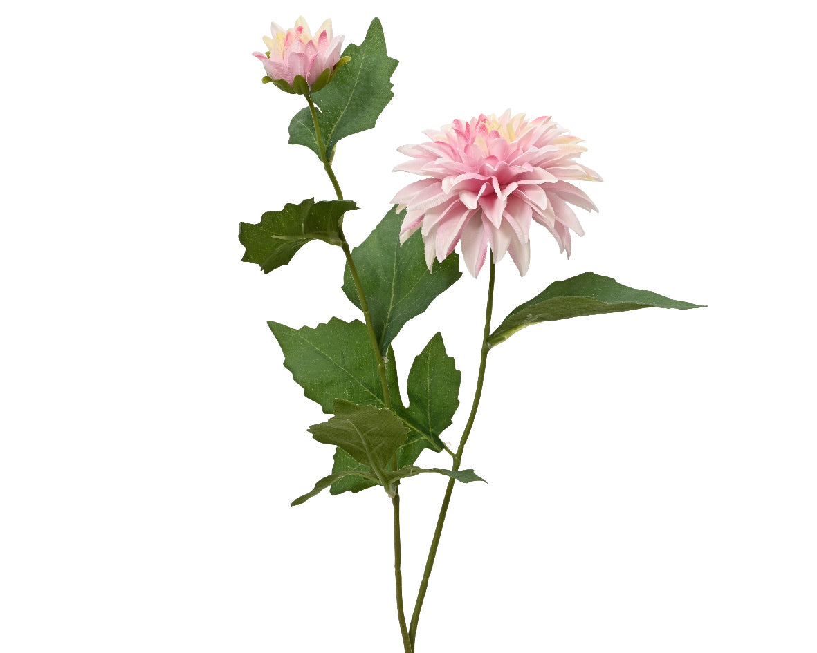 Large Pink Dahlia Flower Stem - 66cm – Southwood Garden Centre