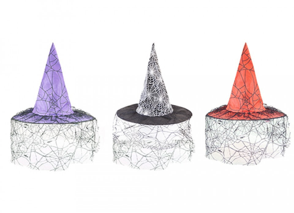 Halloween Witches Hat with Lace Veil - Individual – Southwood Garden Centre
