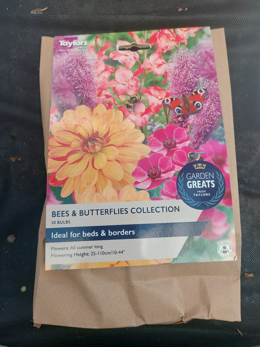 Taylor's Bulbs - BEES AND BUTTERFLIES COLLECTION Bulbs – Southwood ...