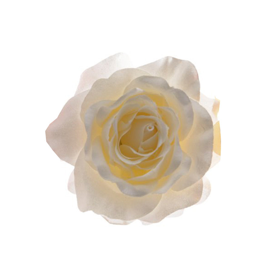 Rose Clips with a Pearl Finish – Southwood Garden Centre