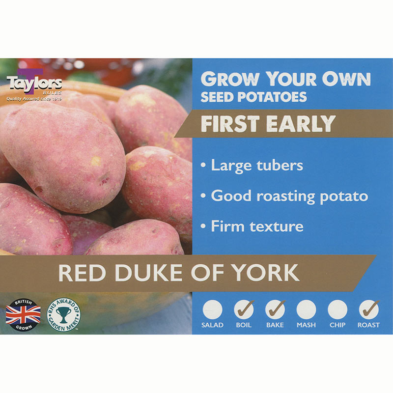 Taylors Bulbs - Red Duke of York First Early Seed Potatoes 2kg ...