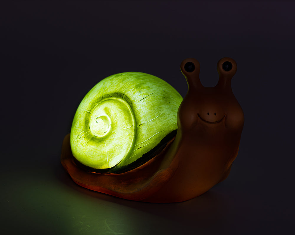 Solar In-Lit Coloured Snail Garden Decoration – Southwood Garden Centre