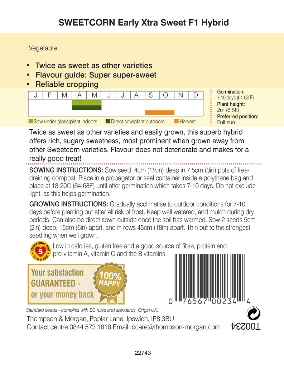 Sweetcorn Early Xtra Sweet F1 Hybrid- Pack of seeds – Southwood Garden ...