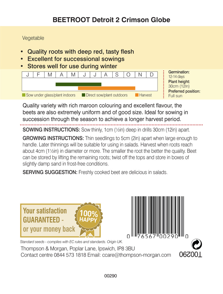 Beetroot Detroit 2 Crimson Globe- Pack of seeds – Southwood Garden Centre