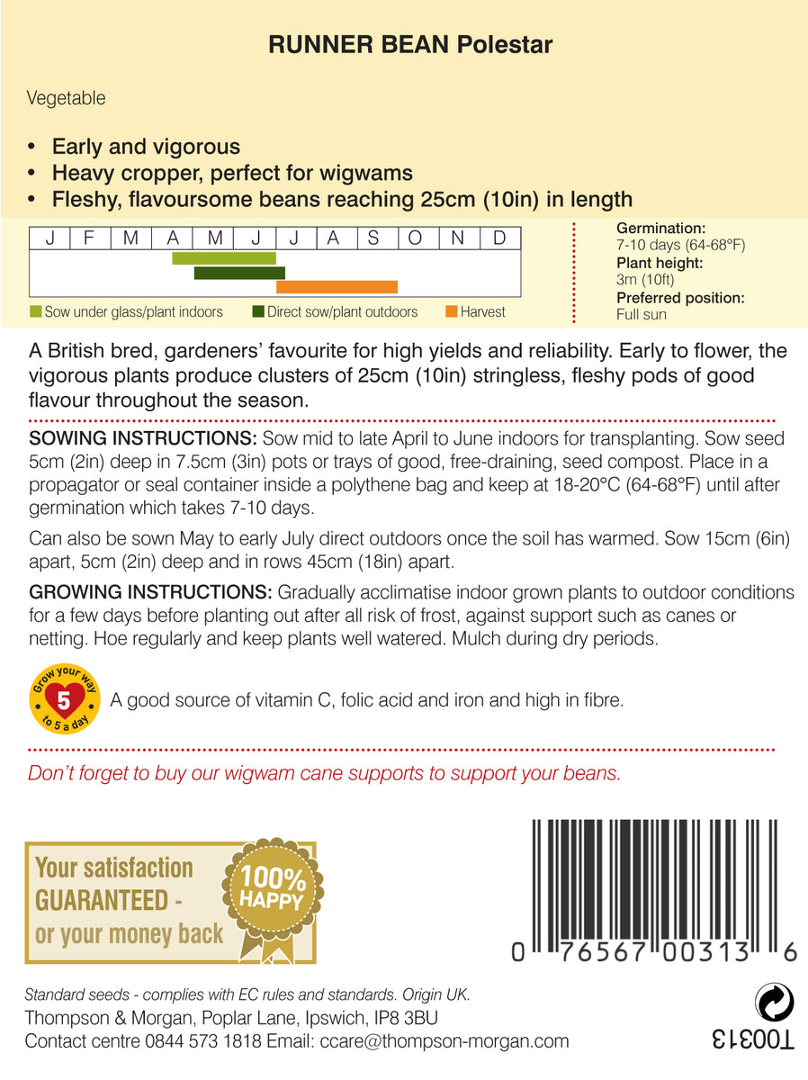 Runner Bean Polestar- Pack of seeds – Southwood Garden Centre