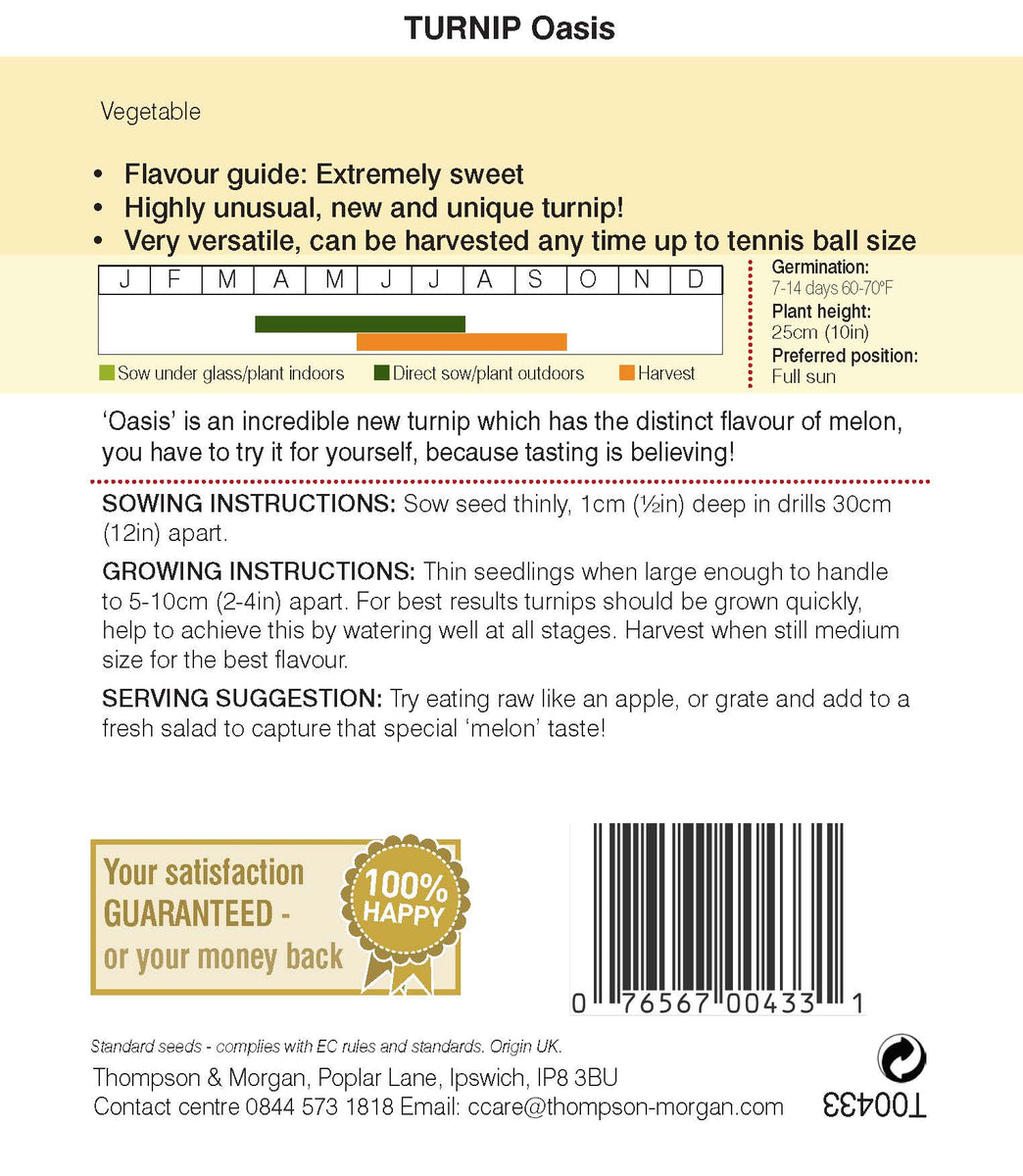 Turnip Oasis- Pack of seeds – Southwood Garden Centre
