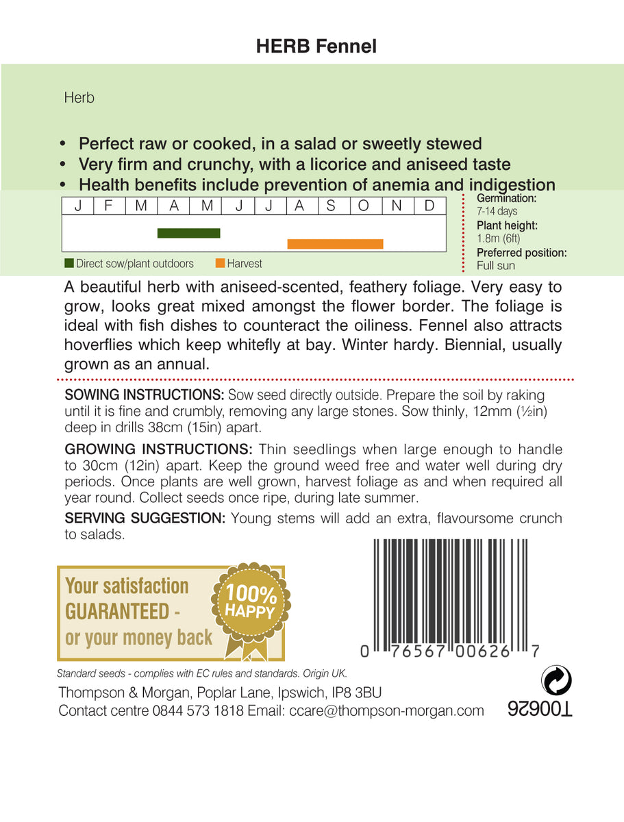 Herb Fennel- Pack of seeds – Southwood Garden Centre