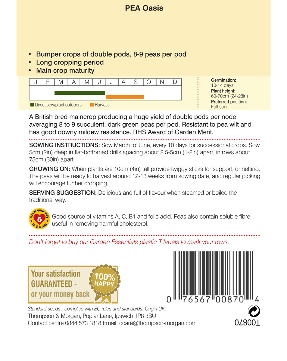 Pea Oasis- Pack of seeds – Southwood Garden Centre