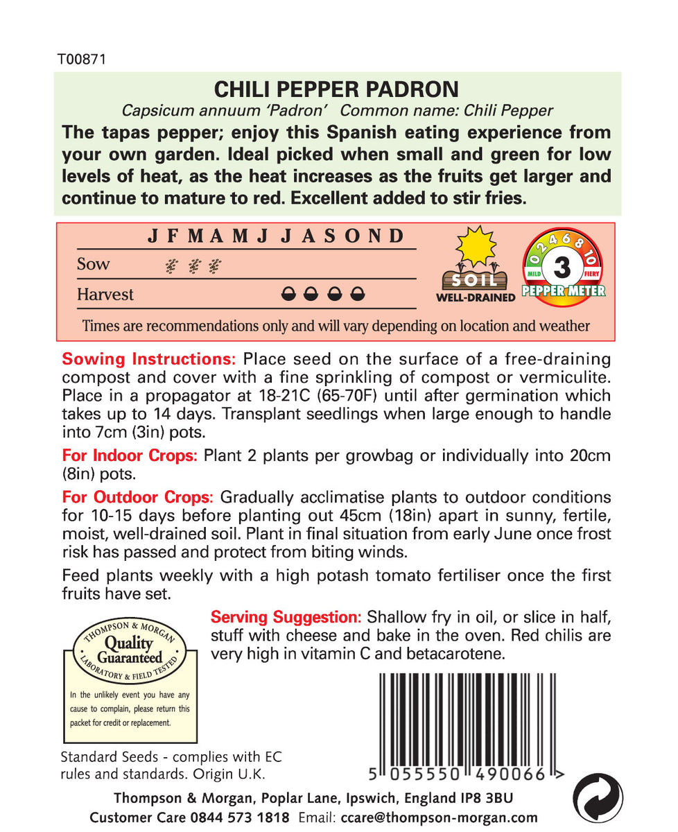 Pepper Chilli Padron- Pack of seeds – Southwood Garden Centre
