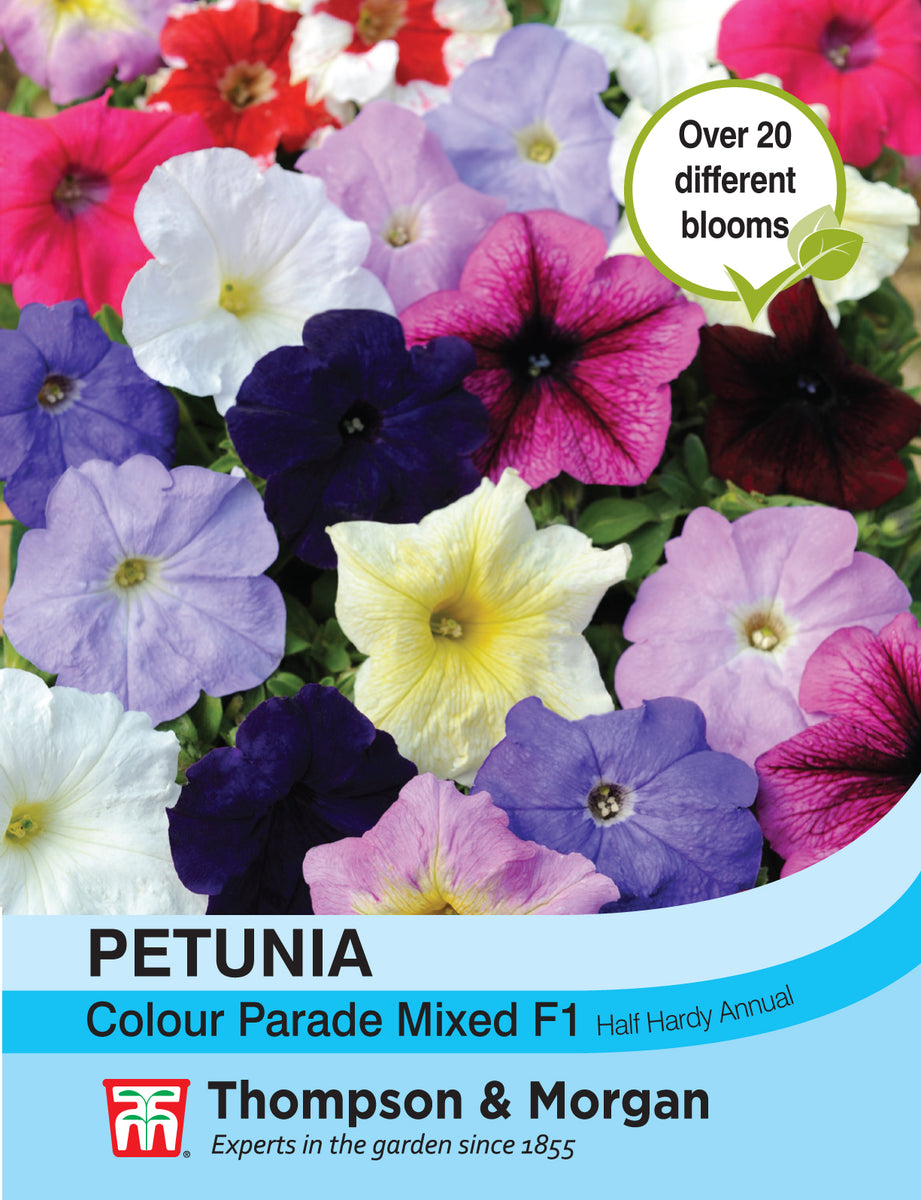 Petunia Colour Parade Mixed F1 Hybrid- Pack of seeds – Southwood Garden ...