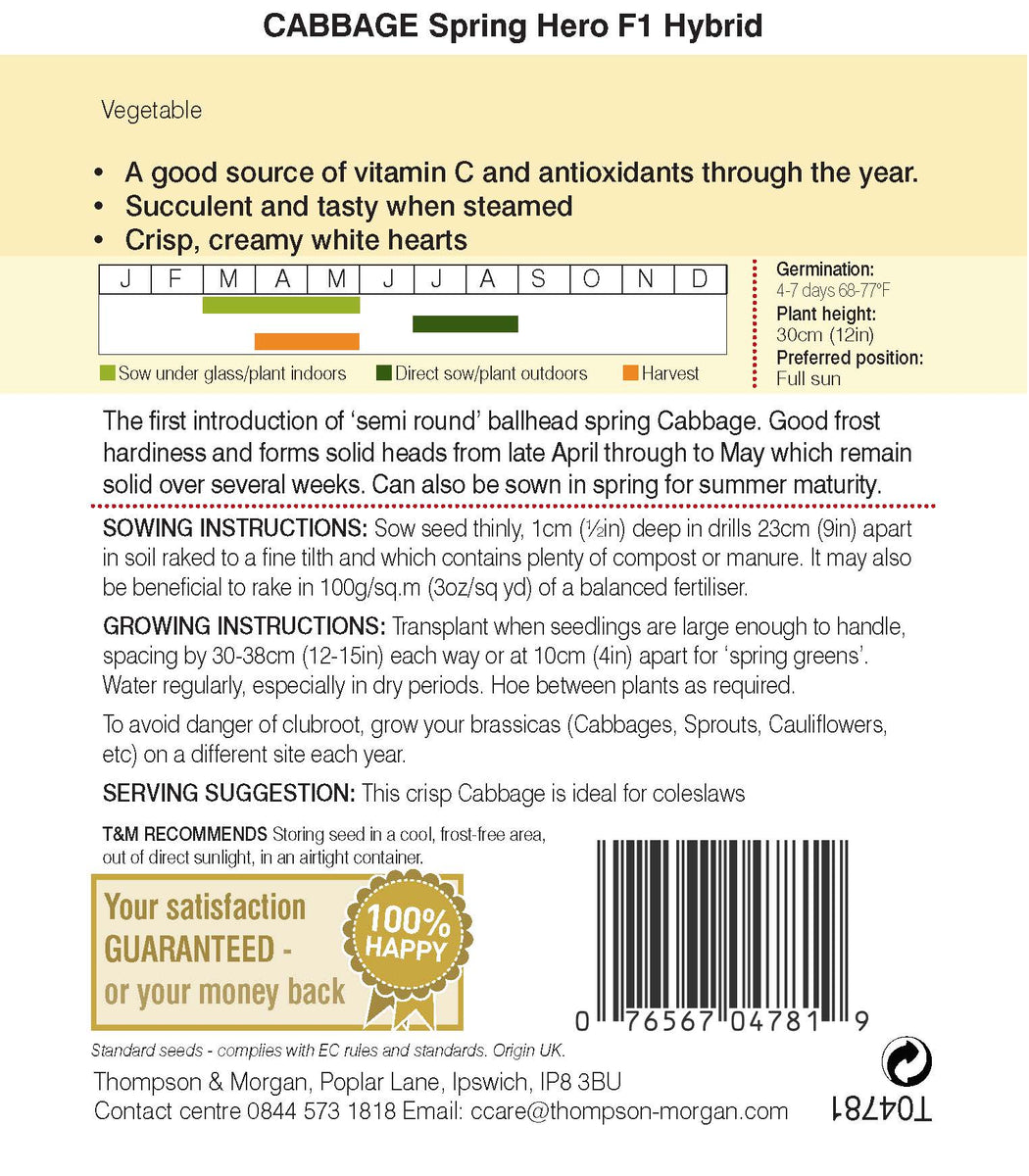 Cabbage Spring Hero F1 Hybrid- Pack of seeds – Southwood Garden Centre