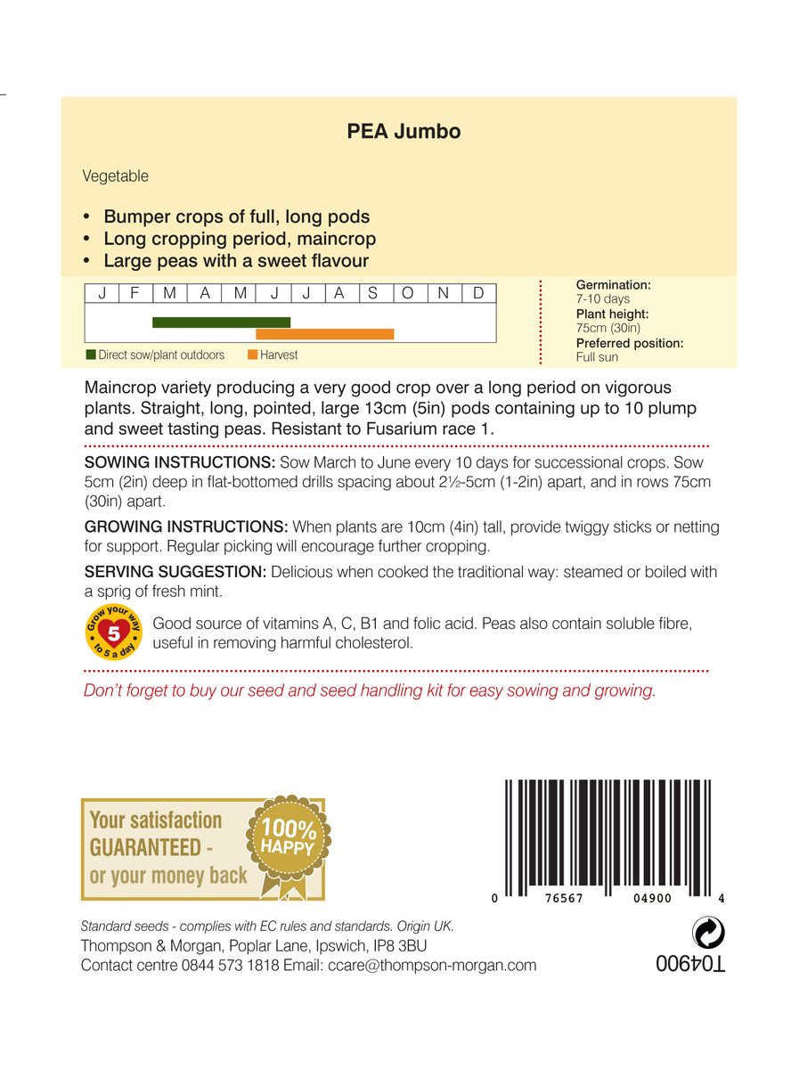 Pea Jumbo- Pack of seeds – Southwood Garden Centre