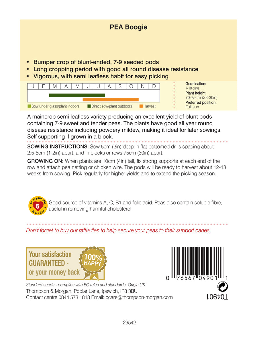 Pea Boogie- Pack of seeds – Southwood Garden Centre