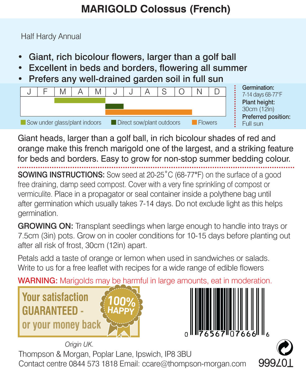 Marigold Colossus- Pack of seeds – Southwood Garden Centre