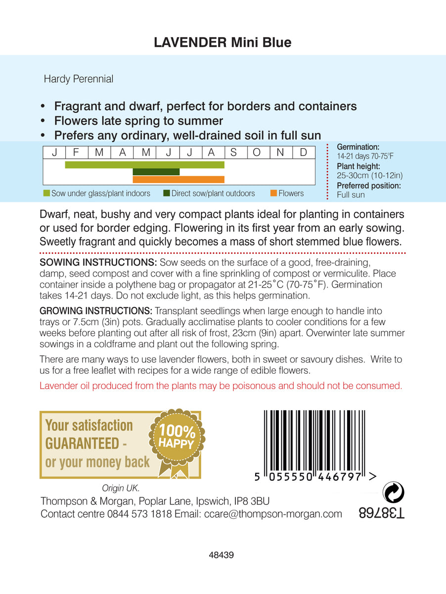 Lavender Mini Blue- Pack of seeds – Southwood Garden Centre