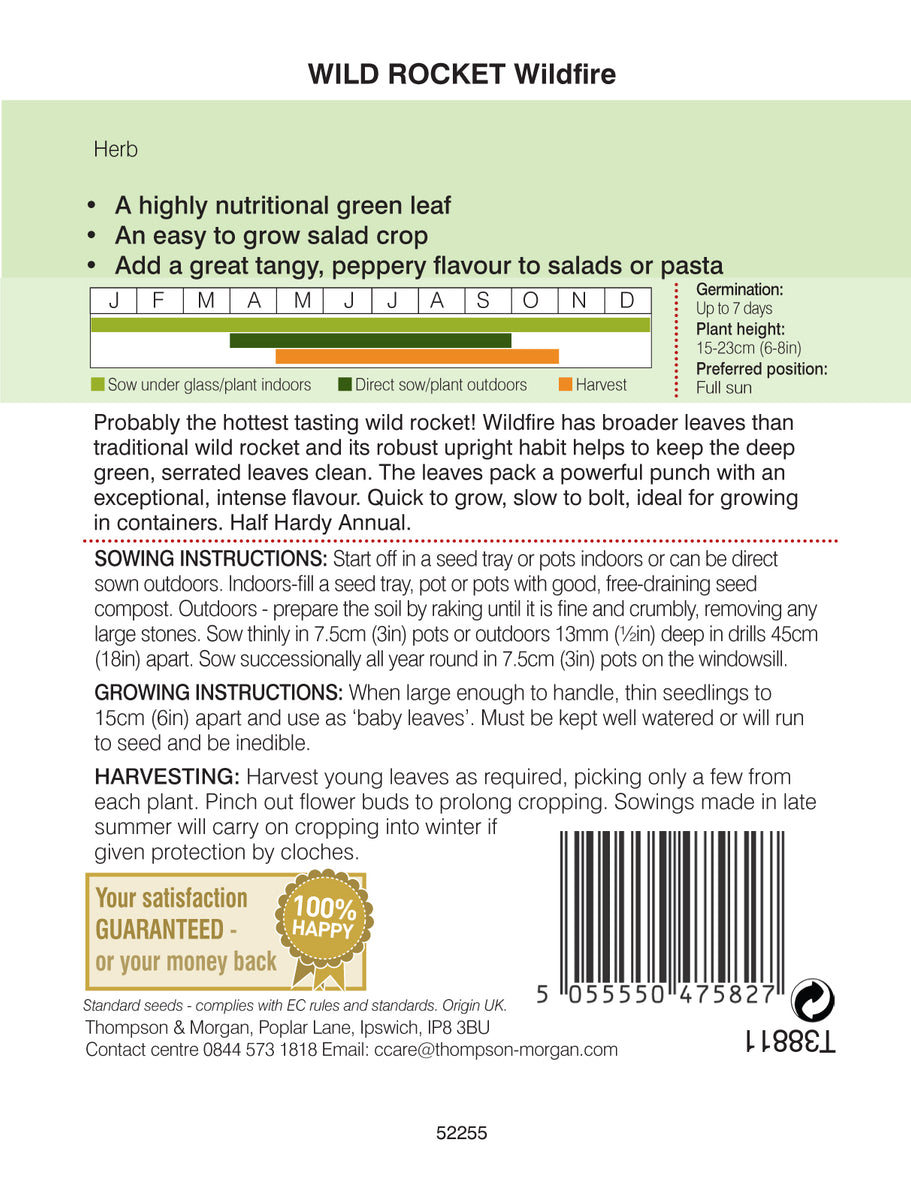 Herb Wild Rocket Wildfire- Pack of seeds – Southwood Garden Centre