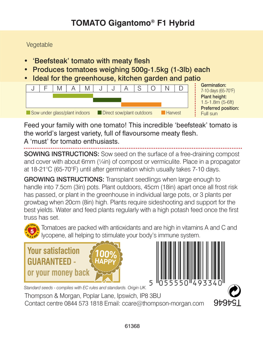 Tomato Gigantomo F1 Hybrid - Pack of seeds – Southwood Garden Centre