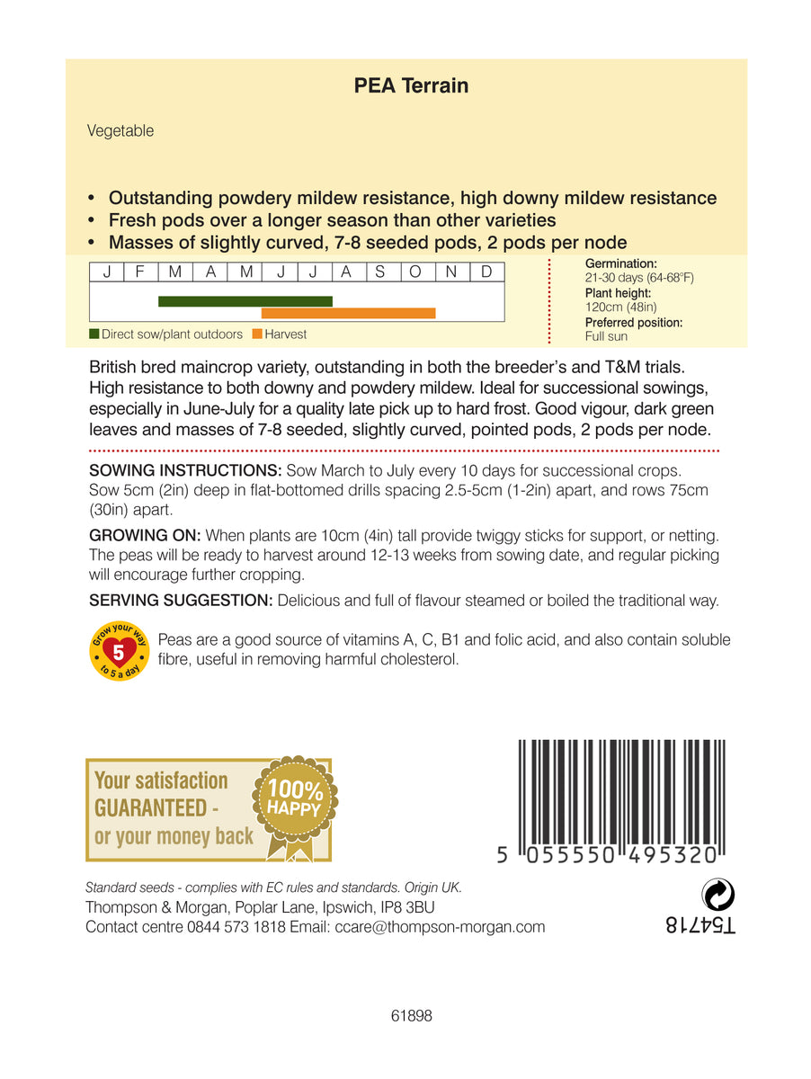 Pea Terrain- Pack of seeds – Southwood Garden Centre