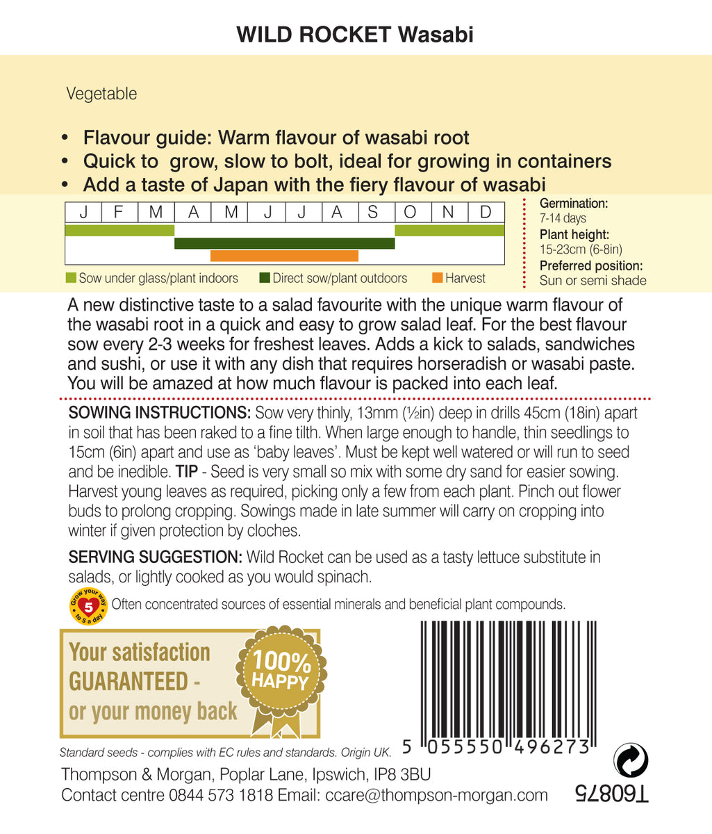 Herb Wild Rocket Wasabi- Pack of seeds – Southwood Garden Centre