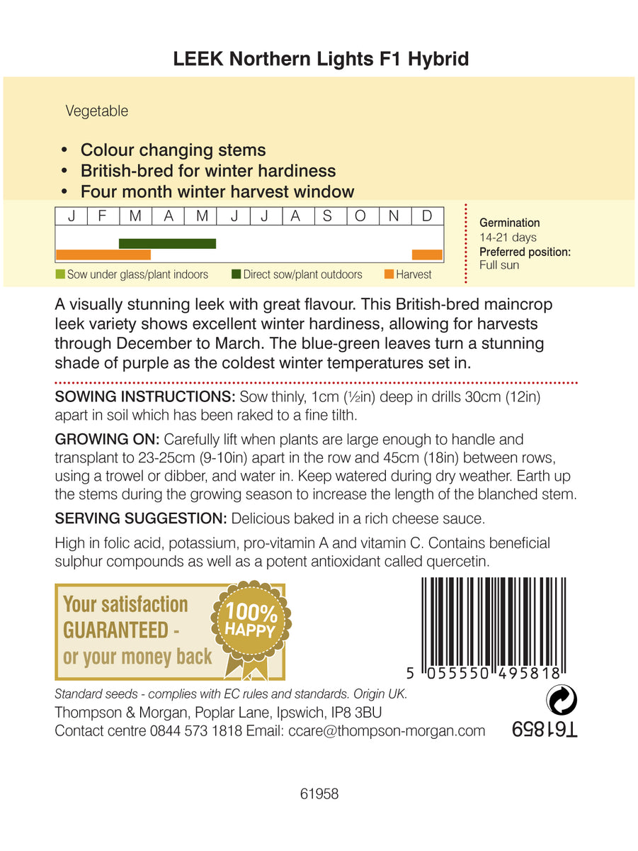 Leek Northern Lights F1 Hybrid- Pack of seeds – Southwood Garden Centre