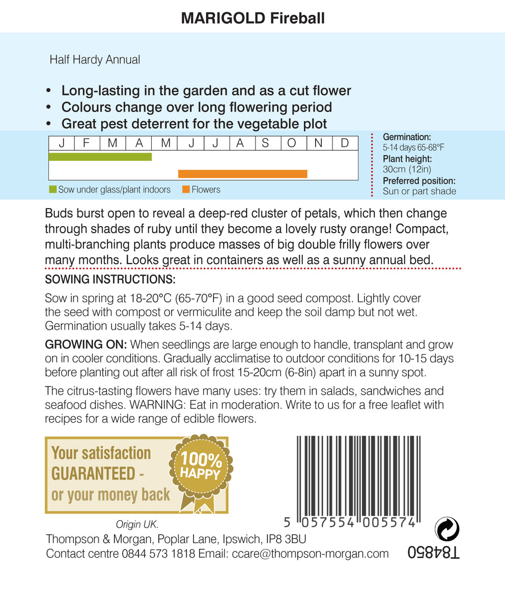 Marigold Fireball- Pack of seeds – Southwood Garden Centre