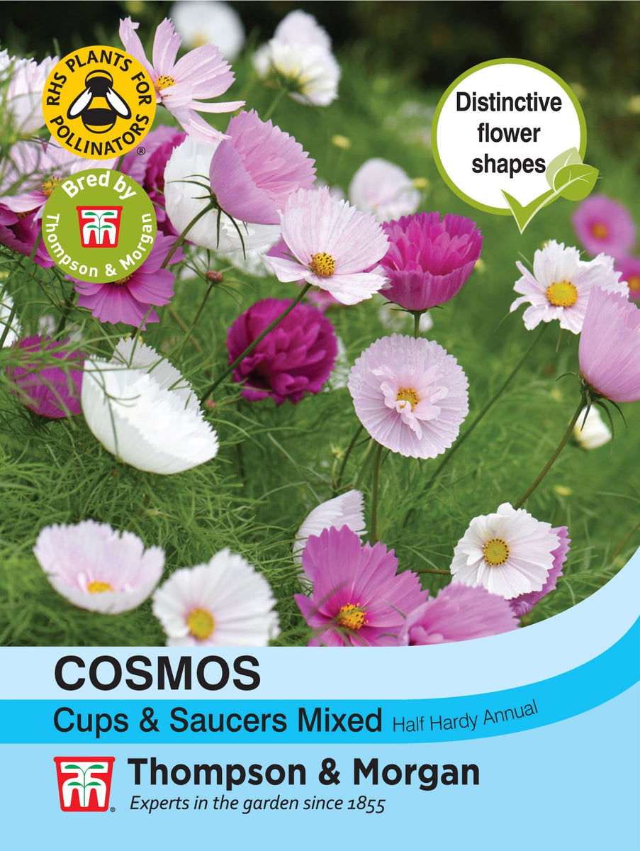 Cosmos Cups & Saucers Mixed- Pack of seeds – Southwood Garden Centre