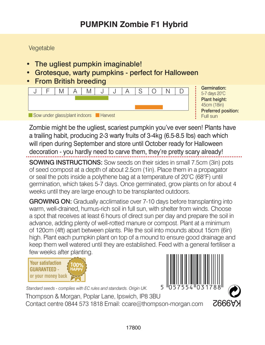 Pumpkin Zombie F1 Hybrid- Pack of seeds – Southwood Garden Centre