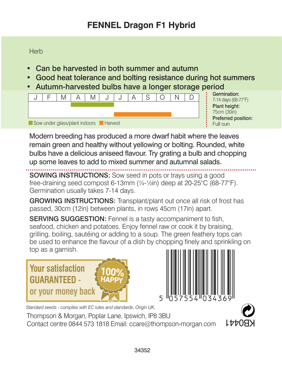 Herb Fennel Dragon F1 Hybrid- Pack of seeds – Southwood Garden Centre