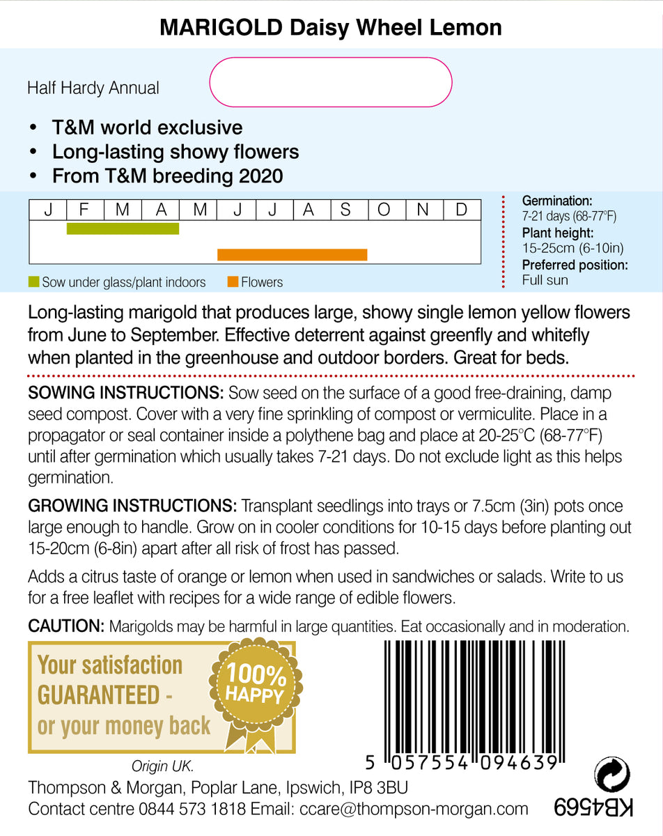 Marigold Daisy Wheel Lemon- Pack of seeds – Southwood Garden Centre