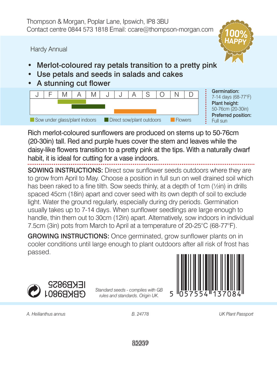 Sunflower Ms Mars - Pack of seeds – Southwood Garden Centre