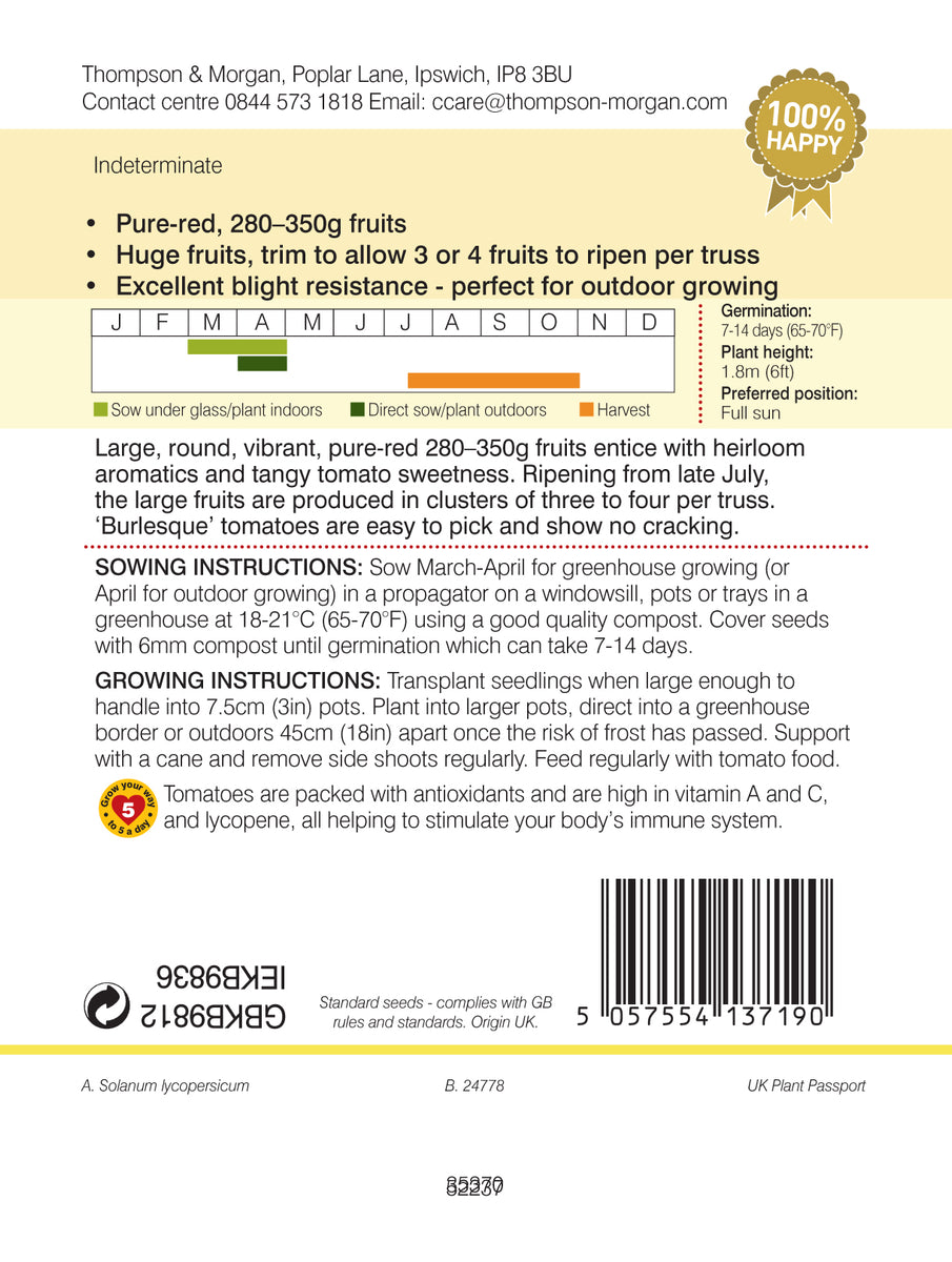 Tomato Burlesque F1 - Pack of seeds – Southwood Garden Centre