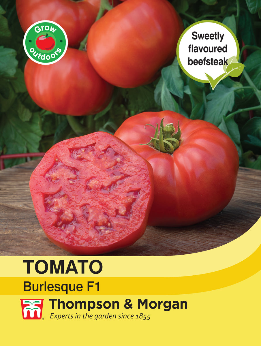 Tomato Burlesque F1 - Pack of seeds – Southwood Garden Centre