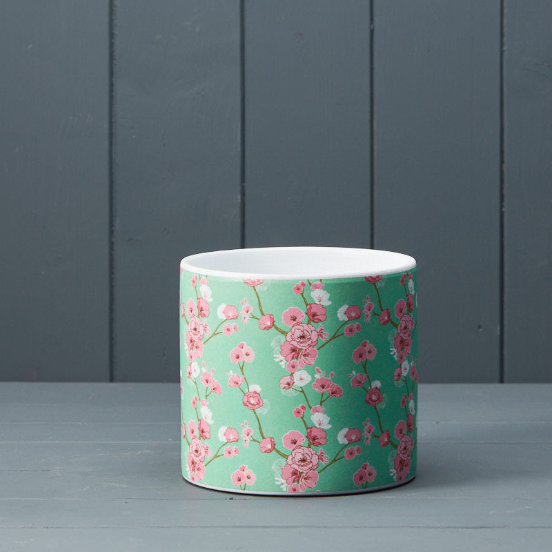Blue & Pink Cherry Blossom House Plant Pot - 14cm – Southwood Garden Centre
