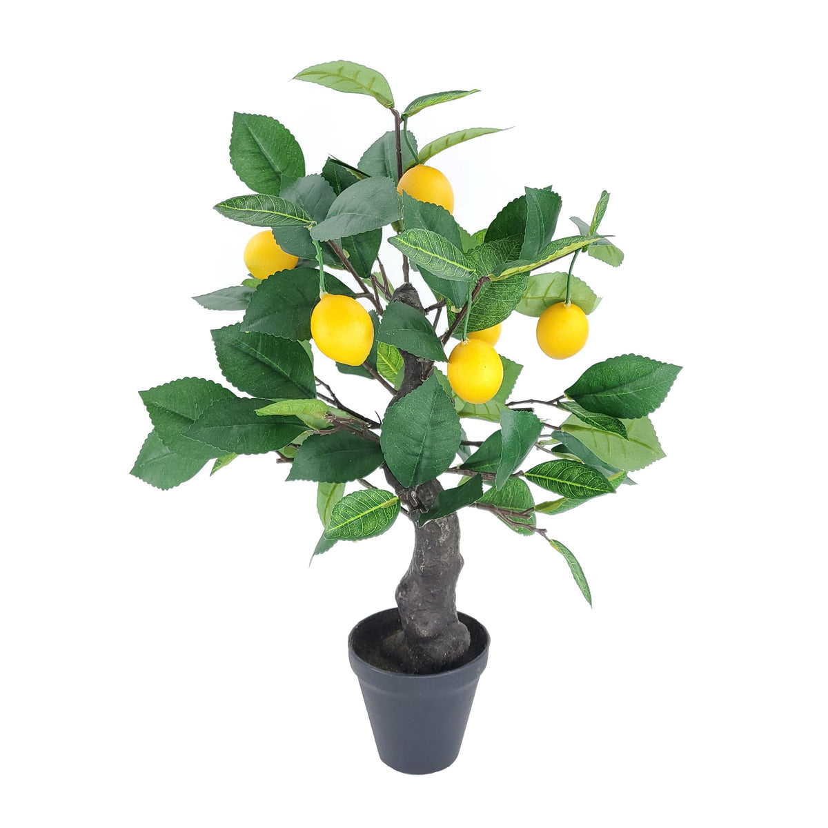 Artificial Lemon Tree with Lemons in Pot - 55cm – Southwood Garden Centre