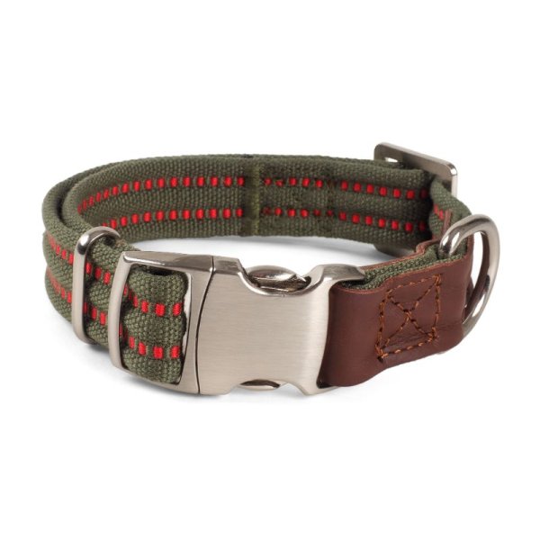 Zoon Walkabout Primo Dog Collar Olive Green Brass Buckle – Southwood ...