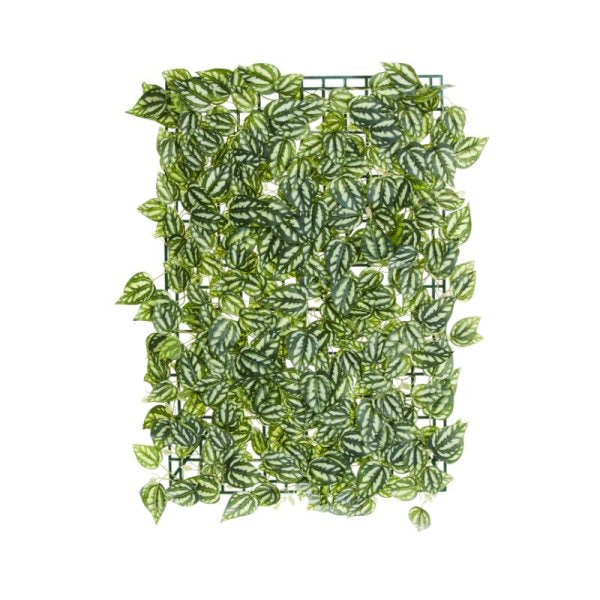 Luscious Leaf Screening Panel - 60 x 40cm – Southwood Garden Centre