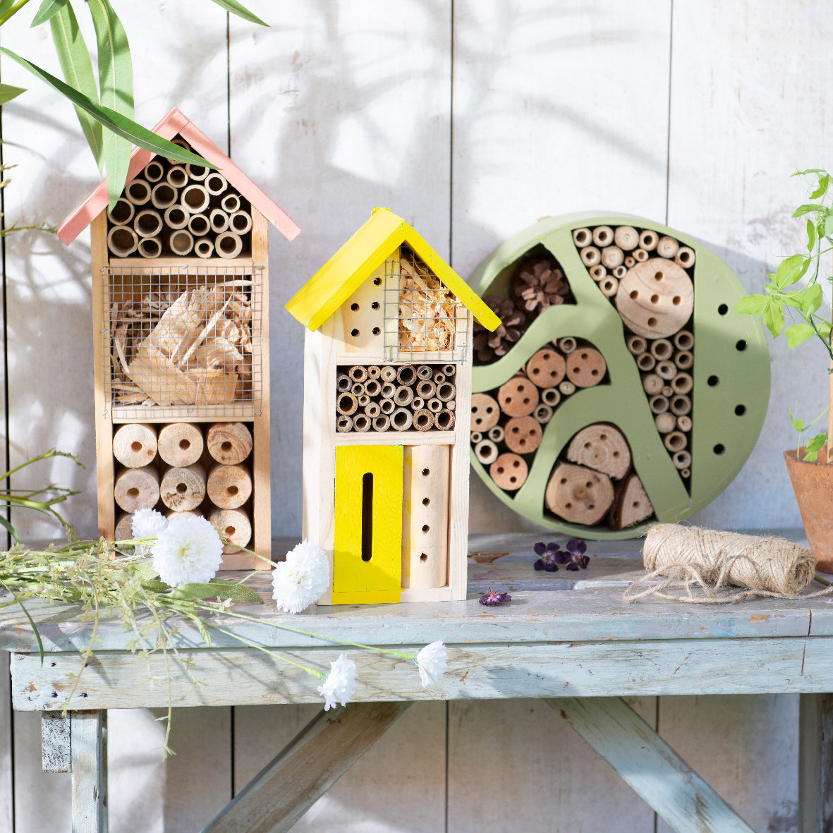 Wooden Insect-house for Wall – Southwood Garden Centre
