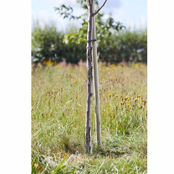 Round Tree Stake 1.5m x 35mm, FSC 1 – Southwood Garden Centre