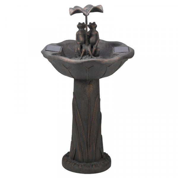 Smart Garden Frog Frolics Solar Powered Water Feature - Special Offer ...