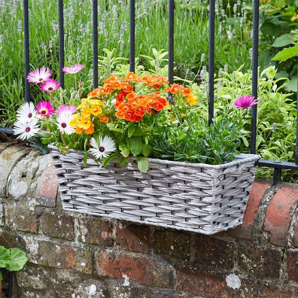Bari Faux Rattan Planter Ideal to hook on a Fence – Southwood Garden Centre