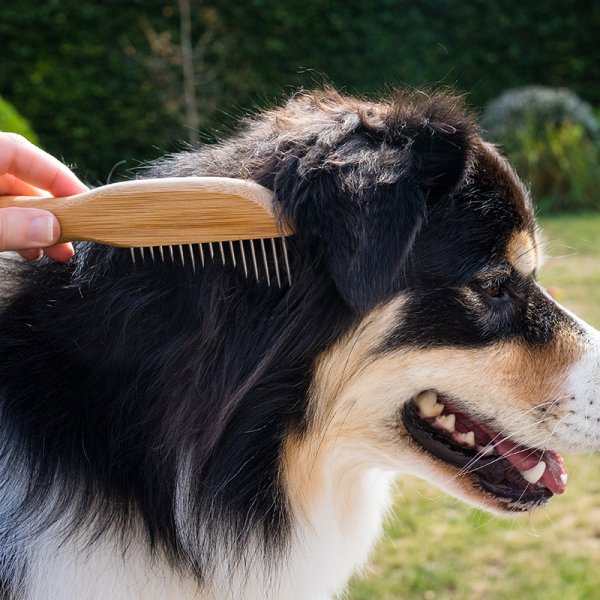 Zoon Dog Grooming Wide Tooth Rotating Rake – Southwood Garden Centre