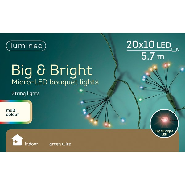 Micro Big & Bright LED Bouquet String Lights – Southwood Garden Centre