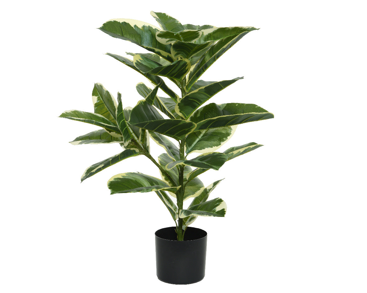 Artificial Potted Rubber House Plant - 76cm – Southwood Garden Centre