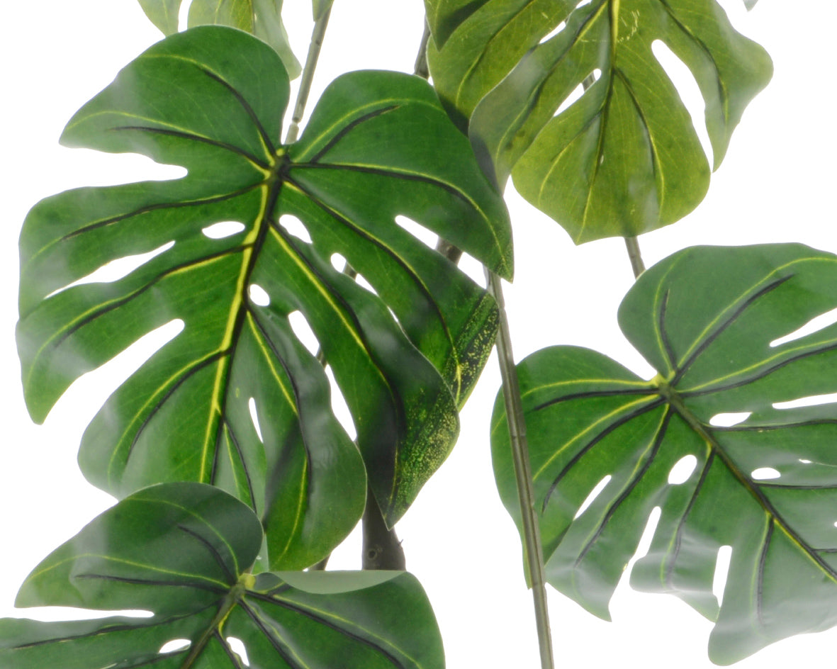 Artificial Monstera Cheese Plant Garland - 110cm – Southwood Garden Centre