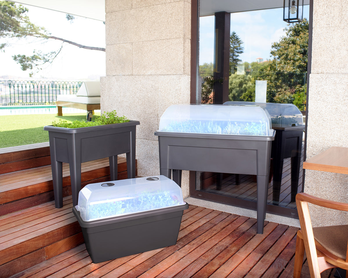 **CLEARANCE** Artevasi Venezia Standing Grow Box / Planter Transparent ...