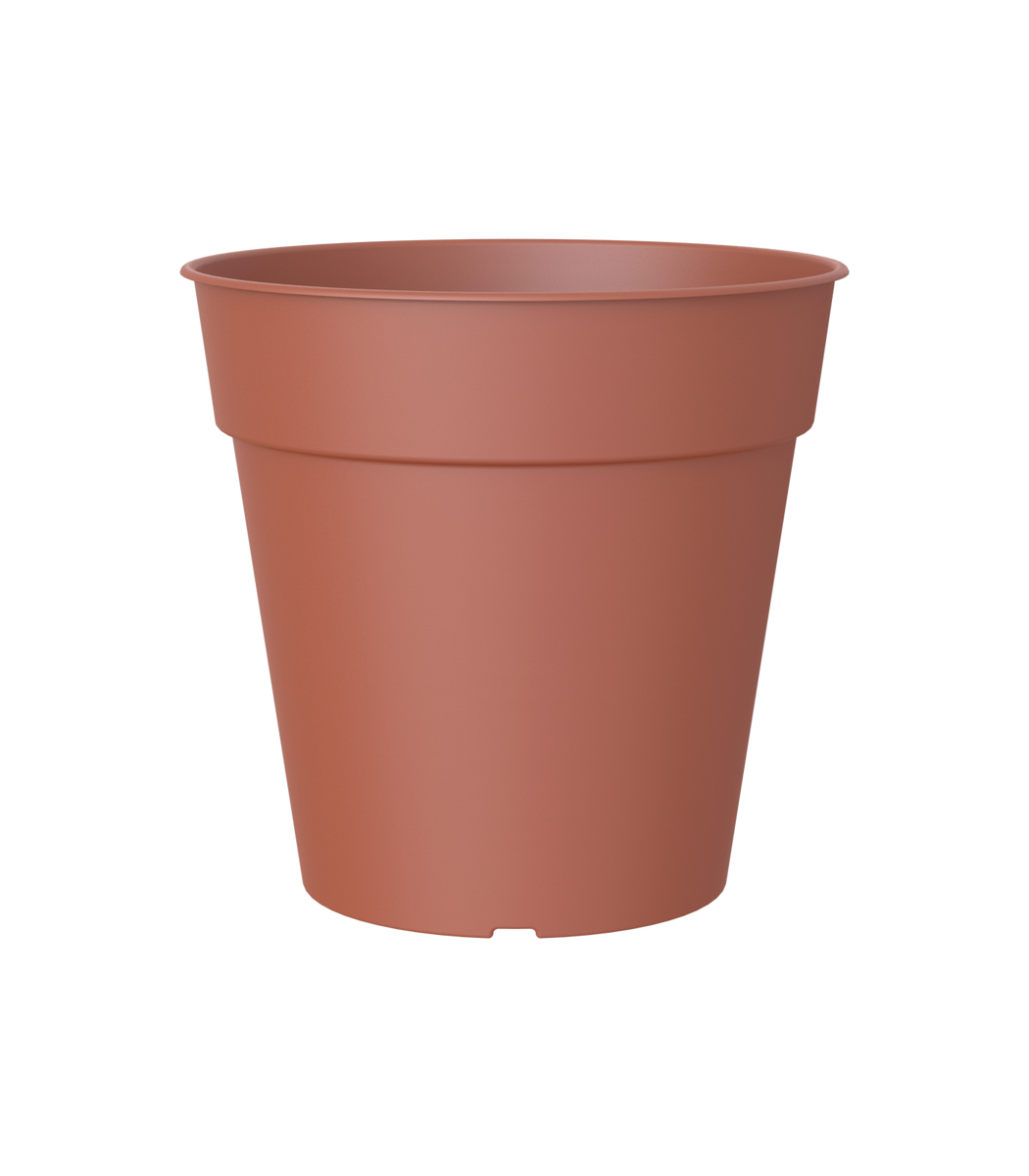Artevasi Madagascar To Grow Plant Pot - 23cm – Southwood Garden Centre