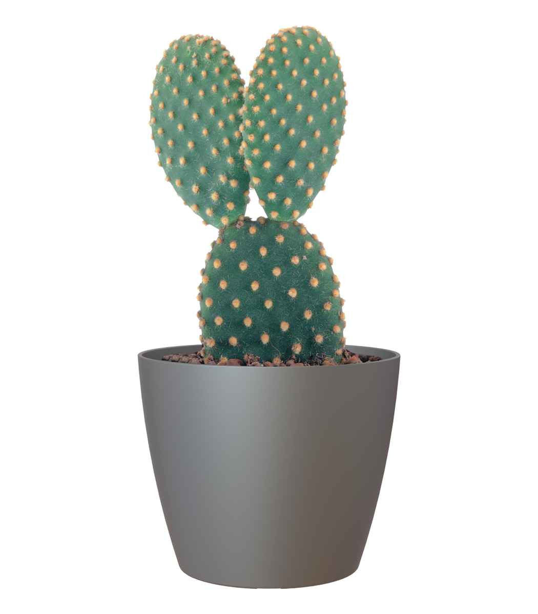 Artevasi San Remo Matte Plant Pot- 6cm – Southwood Garden Centre